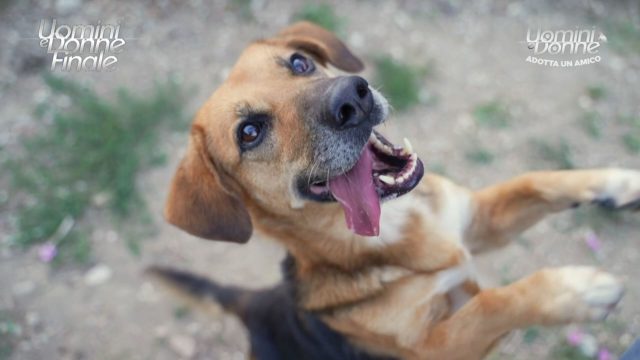 Adotta un amico - Uomini e donne Clip | Witty TV