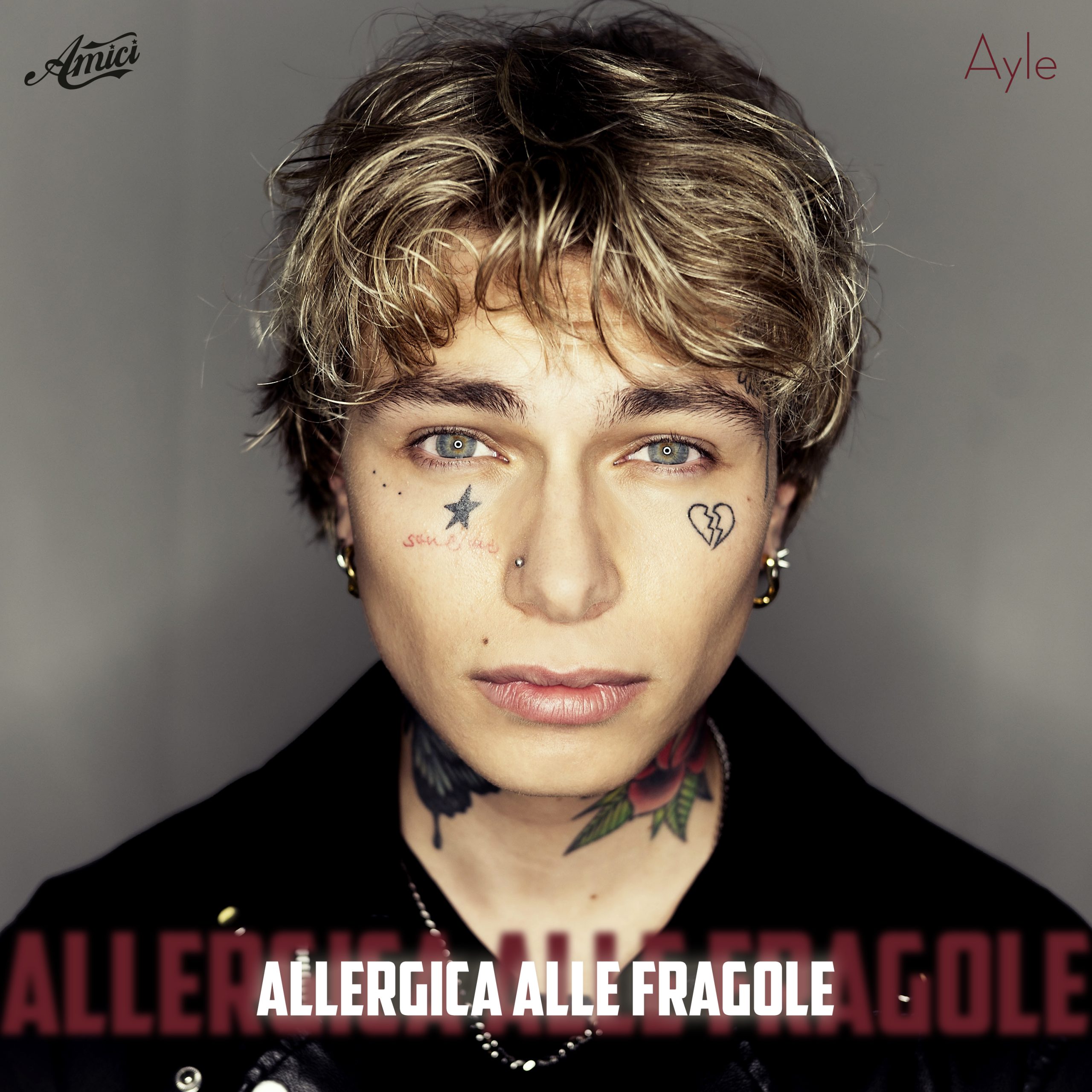 Testo dell’inedito di Ayle ALLERGICA ALLE FRAGOLE - Amici Diario | Witty TV