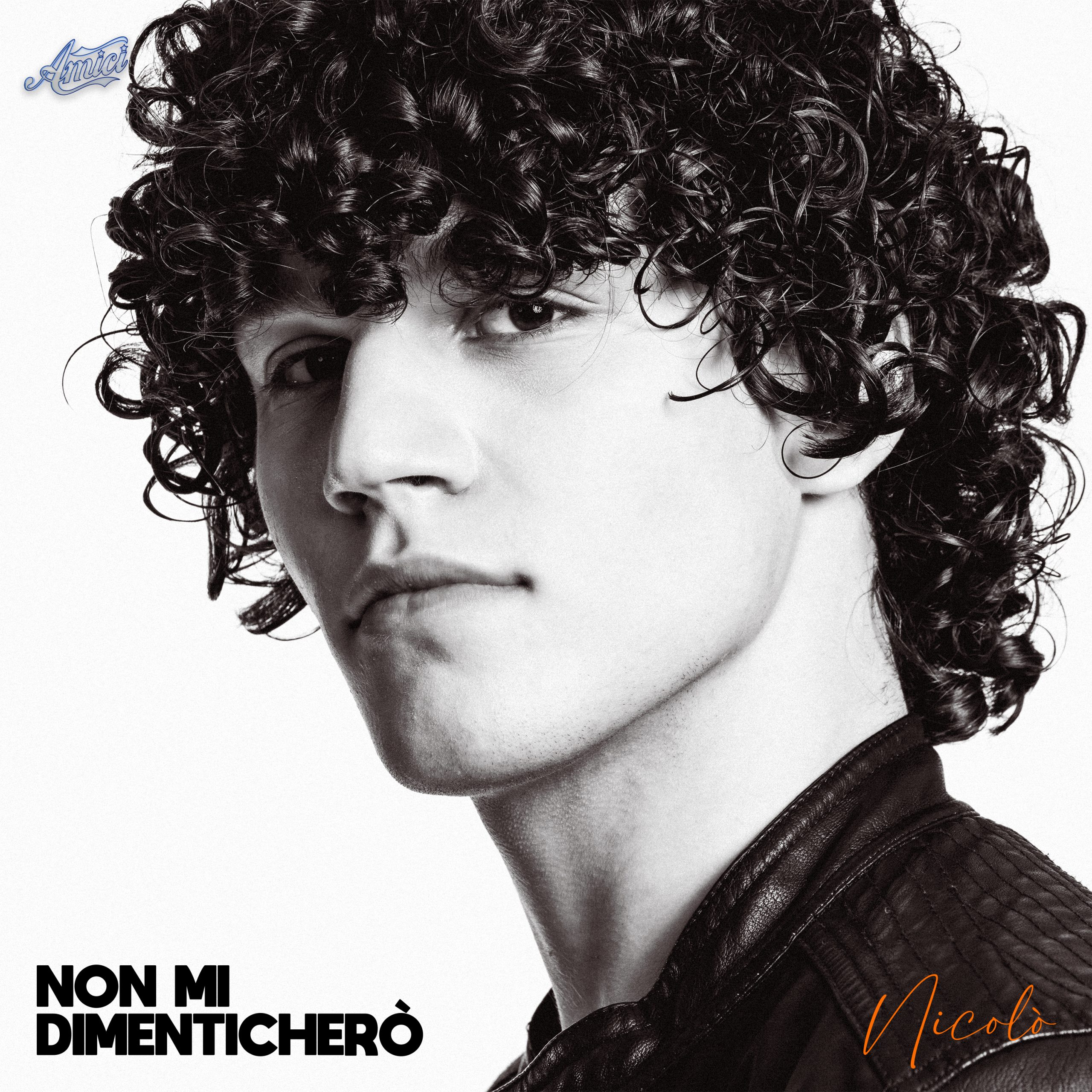 Testo dell’inedito di Nicolò Non mi dimenticherò - Amici Diario | Witty TV