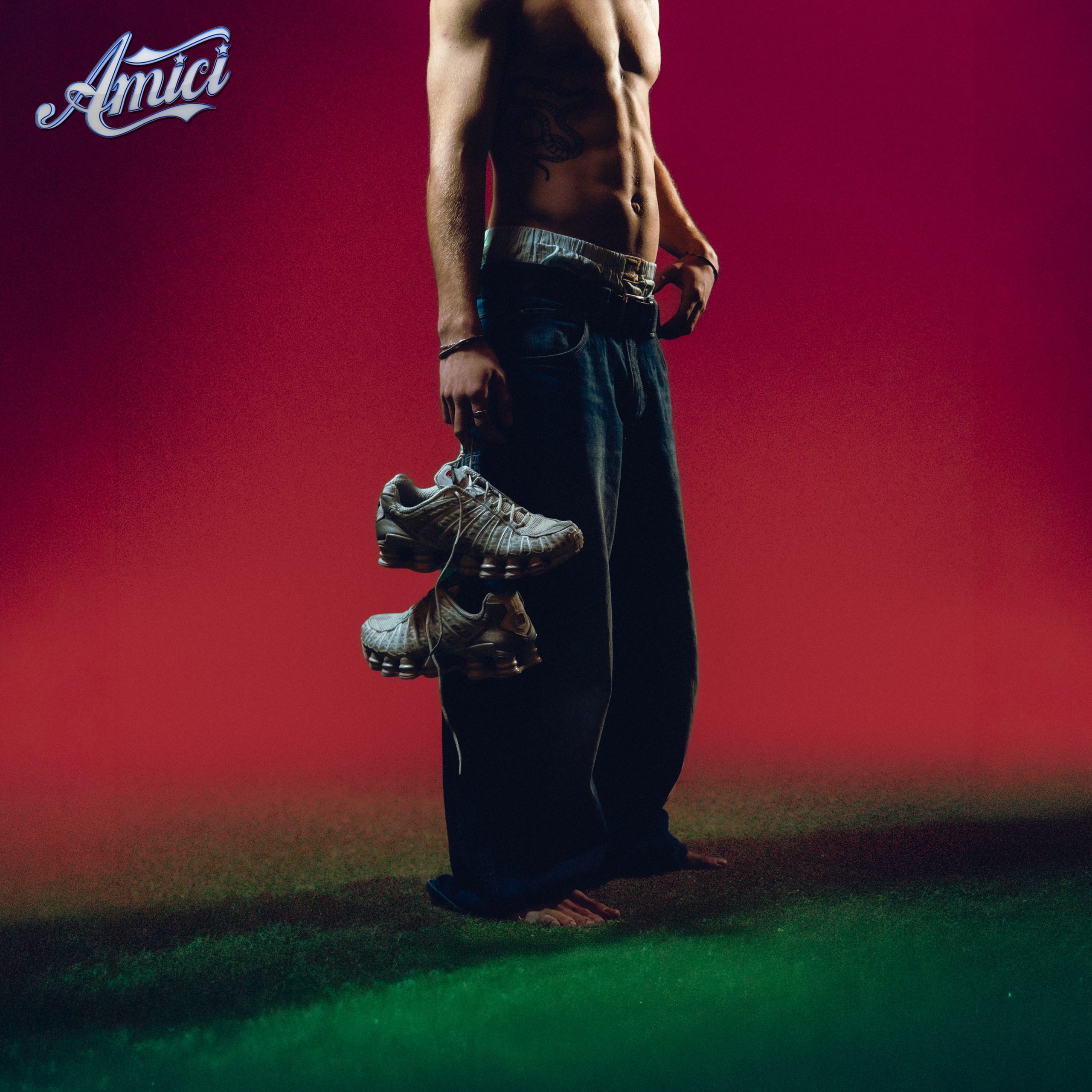 Testo dell’inedito di Plasma Perdigiorno - Amici Diario | Witty TV